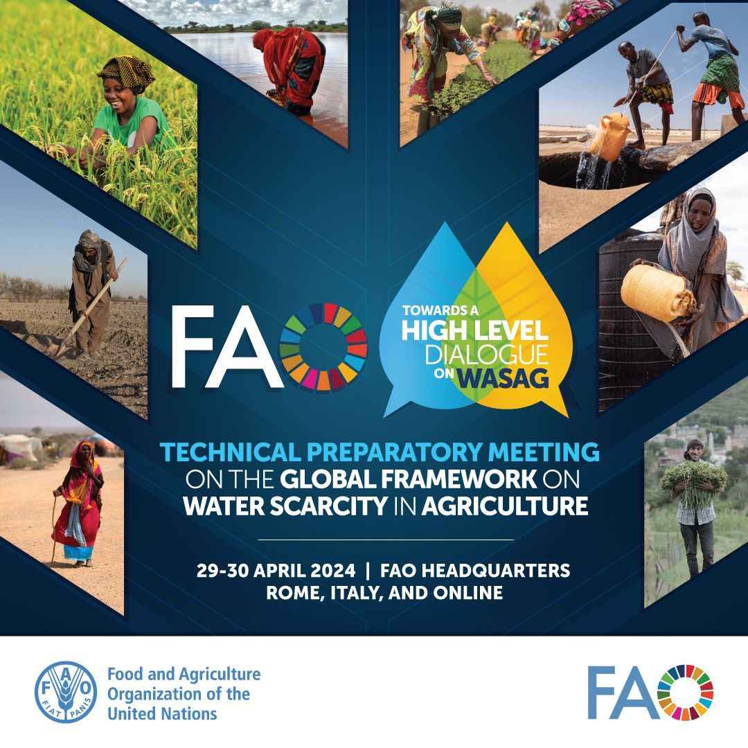 FAO will host a technical meeting on the Global Framework on Water ...