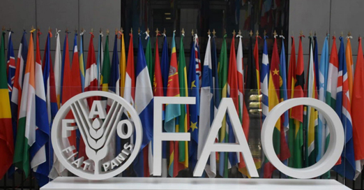 FAO will host a technical meeting on the Global Framework on Water ...